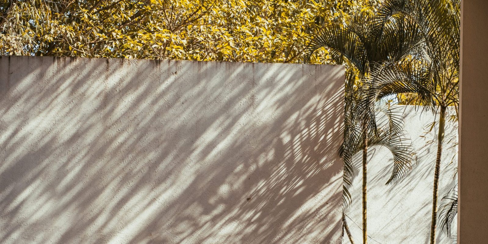 International Business Negotiation with Jay Finkelstein - PEKING ...